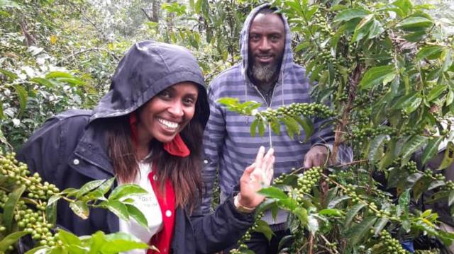 'Qonnaan bultoota bunaaf hariiroo gabaa idil-addunyaa uumuudha kaayyoon ...