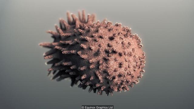 As teorias para o surgimento das primeiras células - e da vida na Terra ...