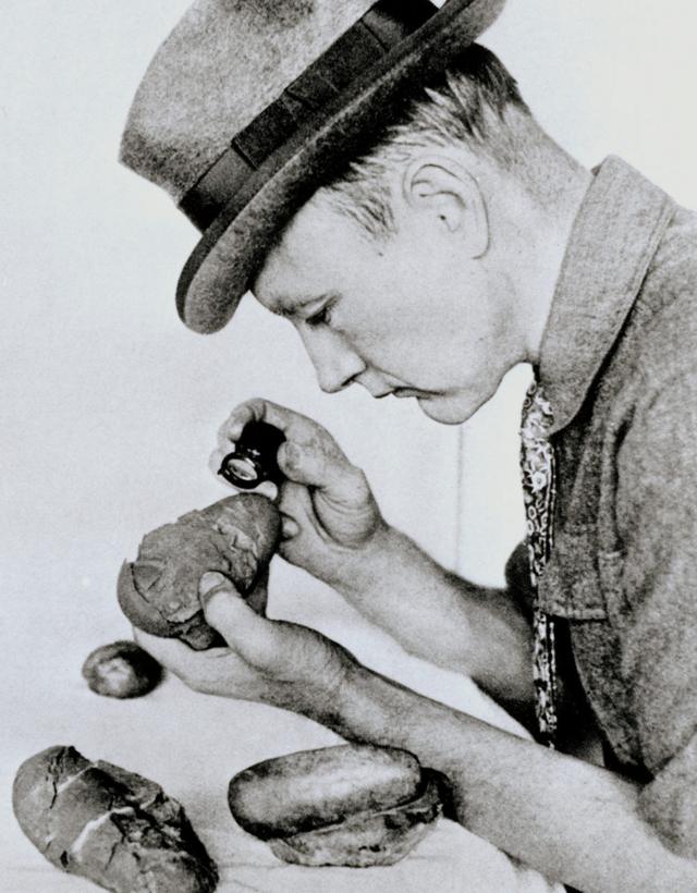 Dinosaurusi i pustinja Gobi: Zemlja drevnih stvorenja - BBC News na srpskom