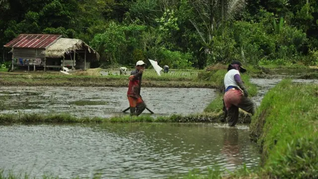 MIT: Kisah Desa Lemban Tongoa yang terusik aksi Mujahidin Indonesia ...