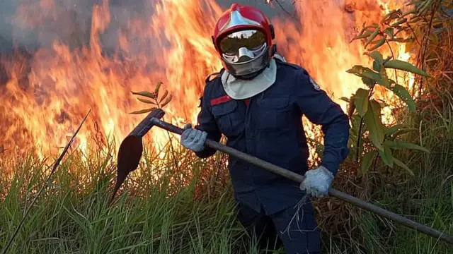 Incendios en el Amazonas: ¿qué se está haciendo para combatir el fuego ...
