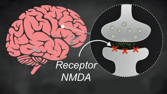 Qué cambia con que la psicosis pueda ser una enfermedad autoinmune ...
