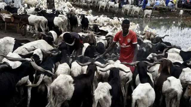 Wane tasiri haramcin fitar da dabbobi daga Nijar zai yi a Najeriya ...