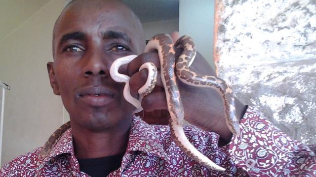 DERGİ - Yılan çiftlikleri neden popüler? - BBC News Türkçe