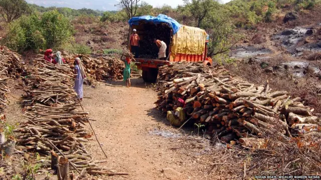 महाराष्ट्र हवामान : राज्याच्या 44.93% जमिनीवर वाळवंटीकरणाचे संकट ...
