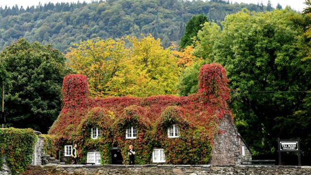 Приметы осени: волосы выпадают, тестостерон поднимается - BBC News ...