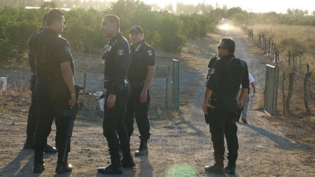 "Las morgues apilan tres cadáveres en donde debería ir uno": cómo ...