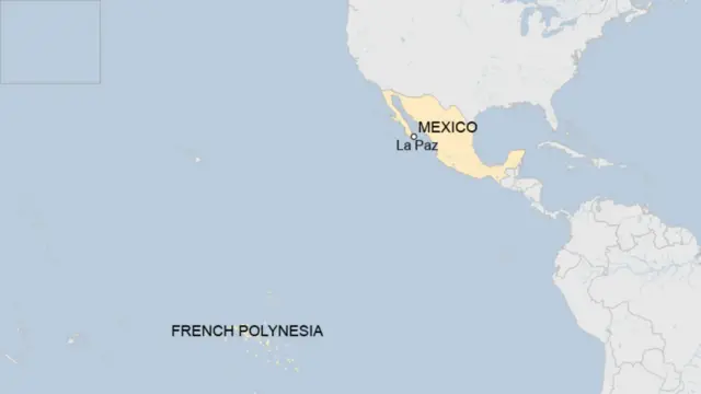 Namtichi Awustiraaliyaa fi sareen isaa turtii galaanarraa ji'a lamaan ...