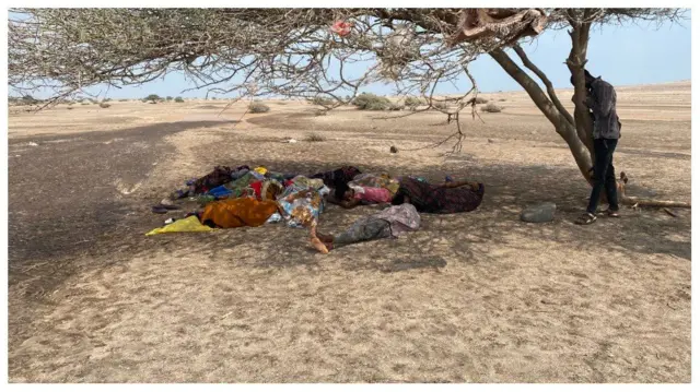 Imala gara du'aa: Godaantota Itoophiyaa gammoojjii hamaa Jibuutii ...