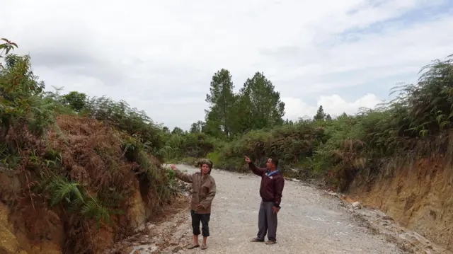 Food Estate Sumatra Utara: Perjuangan perempuan Desa Ria-Ria di lumbung ...