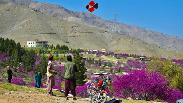 واکنشها به تغییر نام چاریکار به امام ابوحنیفه؛ «فارسی‌ستیزی طالبان است ...