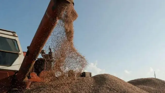 Polonya, Ukrayna'ya silah yardımını neden kesti? - BBC News Türkçe Polonya, Ukrayna'ya silah yardımını neden kesti? - BBC News Türkçe