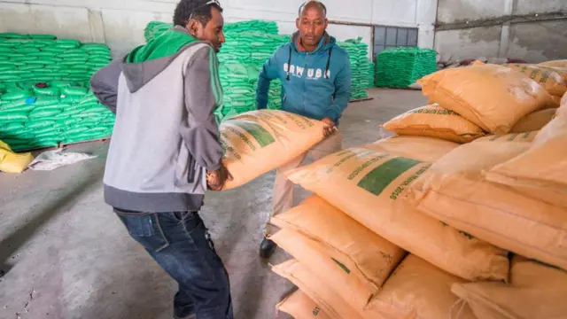 Gatii xaa'oo Itoophiyaatti %300n dabaleefi yaaddoo qonnaan-bultootaa ...