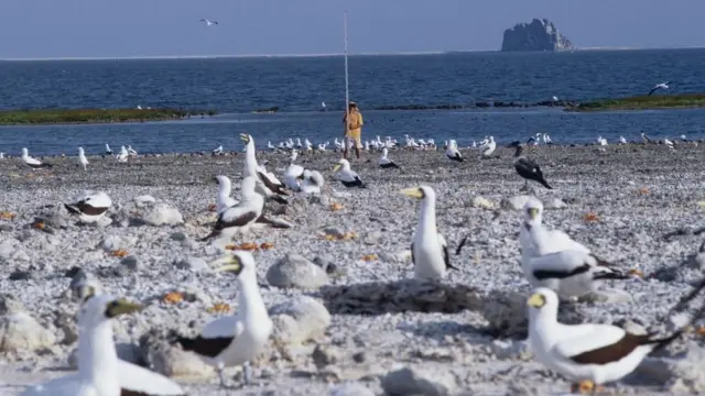 La desconocida y trágica historia de Clipperton, el último territorio ...