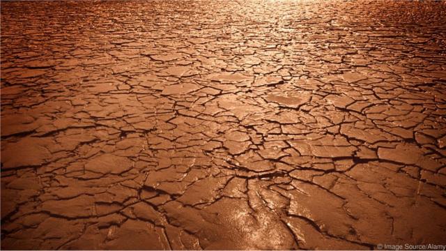 Como seca pode explicar declínio da civilização maia - BBC News Brasil