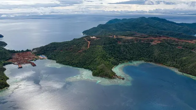 Papua: Bahlil izinkan tambang nikel beroperasi kembali di Raja Ampat, Greenpeace sebut ...