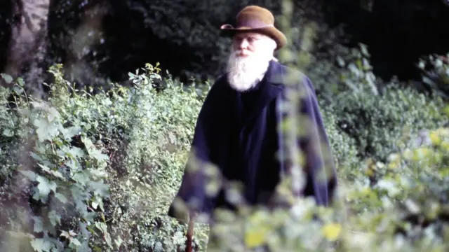 Las increíbles e inesperadas ventajas de ser tímido - BBC News Mundo