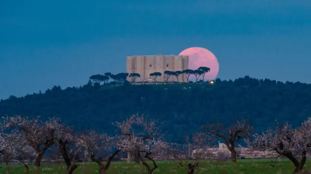 Cuándo es la Luna Rosa y qué puedes hacer para ver este fenómeno - BBC ...