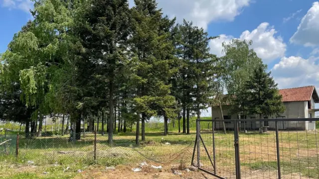 Mladenovac: Uhapšen ujak osumnjičenog za masovno ubistvo - BBC News na srpskom