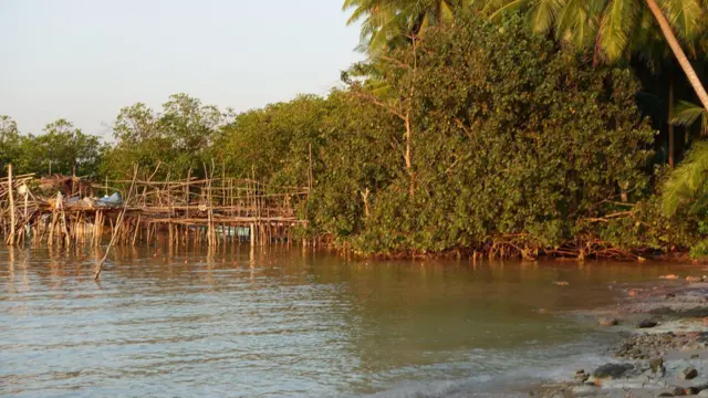 Rempang: ‘The Power of Emak-emak’ melawan relokasi - ‘Kami tak ada ...