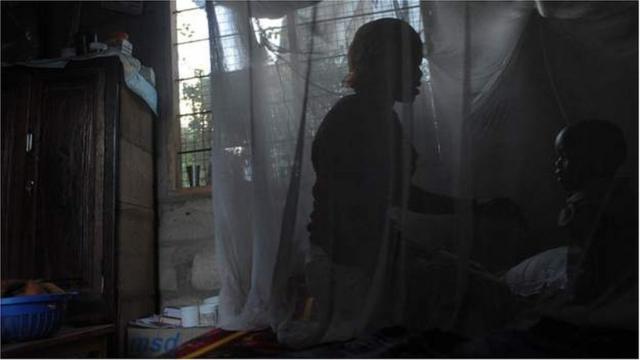 Five oda disease mosquitoe dey pass to pipo apart from malaria - BBC ...