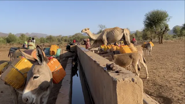 'Lubbuun qabaafan deema malee yaadi kiyyaa sirrii miti'-Miidhamaa ...