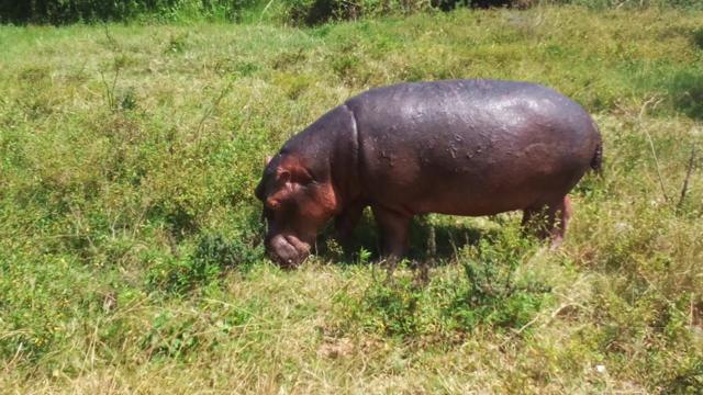 Burundi -ONU: Akamo ko gusaba imfashanyo yo guhangana n'ingaruka z ...