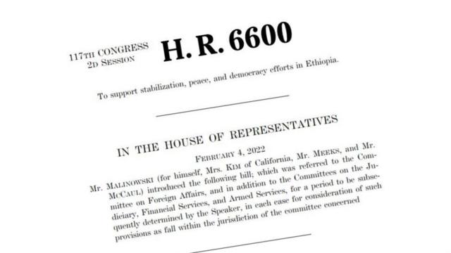 አሜሪካ ኢትዮጵያን አስመልክቶ ያዘጋጀቻቸው ረቂቅ ሕጎች ውሳኔ ምን ላይ ደረሰ? - BBC News አማርኛ