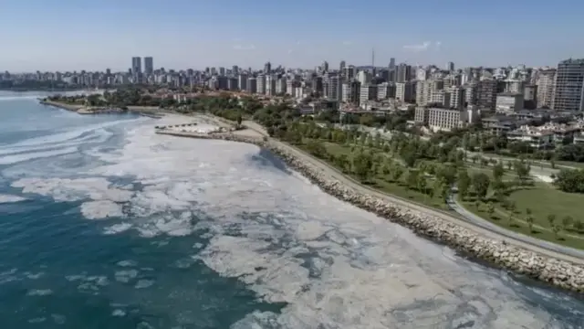 Go'aanka Turkiga ee iibka guryaha ma saameynayaa Soomaalida? - BBC News ...