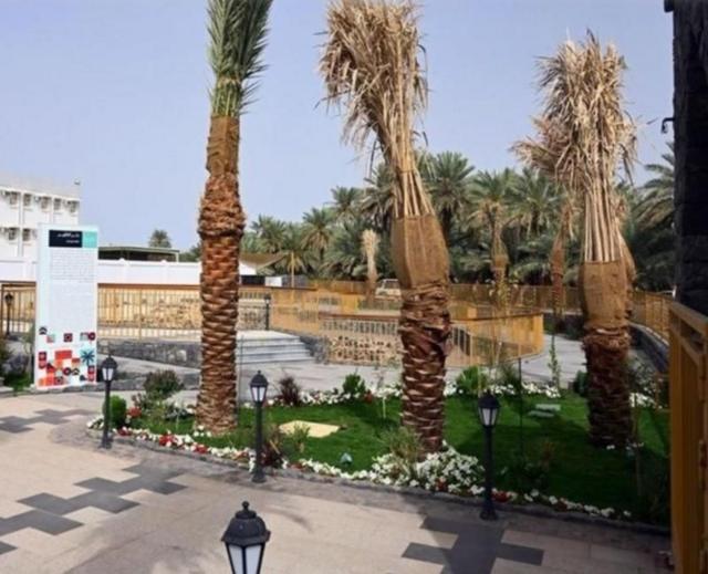 Ceelkii uu Nabi Muxamad NNKH timirta ku beeray oo sanadkan dib loogu ...