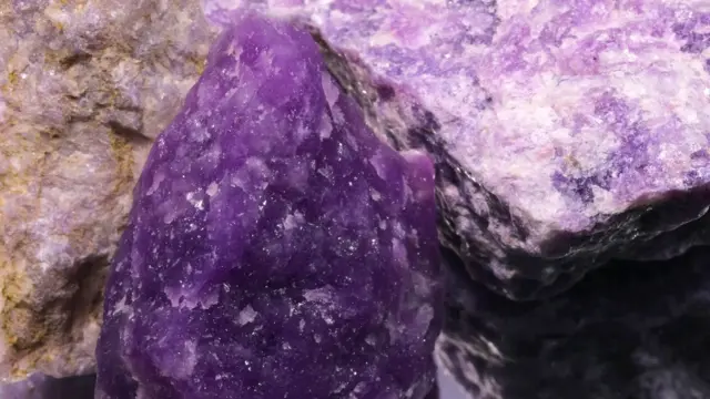 Tiraamp osoo US albuuda akka Litiyeemii qabduu Yukireenirraa maaliif ...