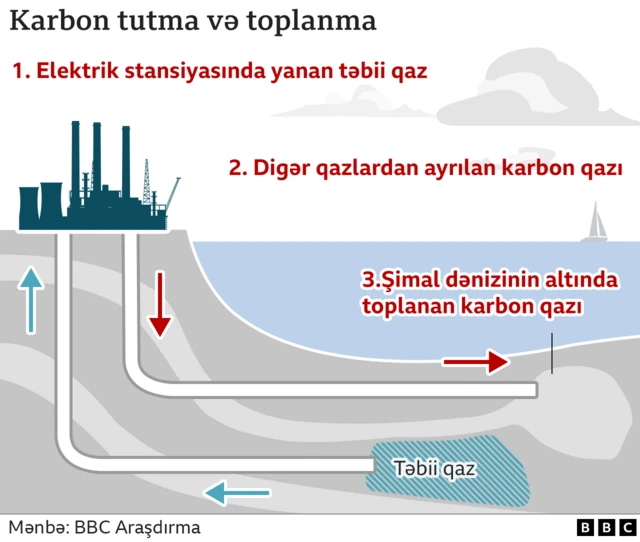 İqlim dəyişikliyi nədir? Sadə bələdçi - BBC News Azərbaycanca