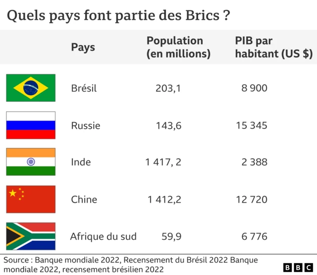 Brics: Qu'est-ce que c'est et pourquoi 40 pays veulent-ils rejoindre le ...