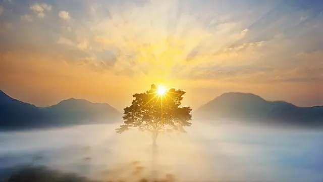 Lima hal yang membuat kita harus terus memupuk harapan - BBC News Indonesia