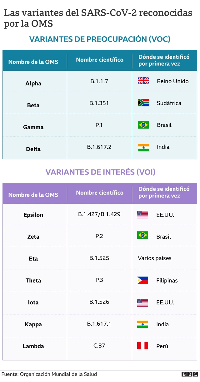 Coronavirus: la variante que llegó a Brasil por la Copa América es más ...