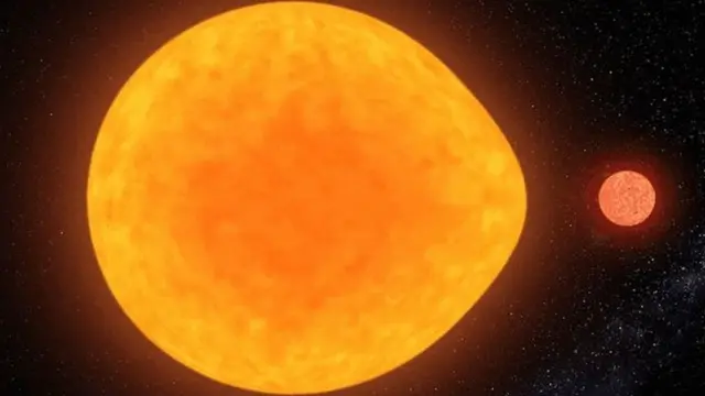 Планета, где с небес проливается железо, и попугай-интеллектуал из ...