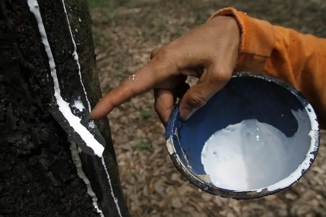 Karet, material penting bagi dunia, terancam habis - BBC News Indonesia