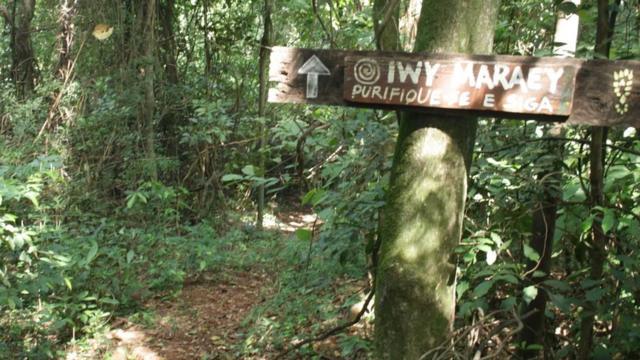 El Camino de Peabirú: la antigua y misteriosa ruta indígena de miles de ...