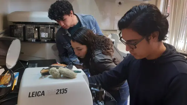 Daniela Robles-Espinoza, la mexicana a la caza de los secretos genéticos del melanoma - BBC News ...