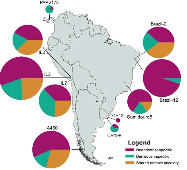 Rastros de neandertales y denisovanos y una migración hace 1.500 años de Uruguay a Panamá: los ...