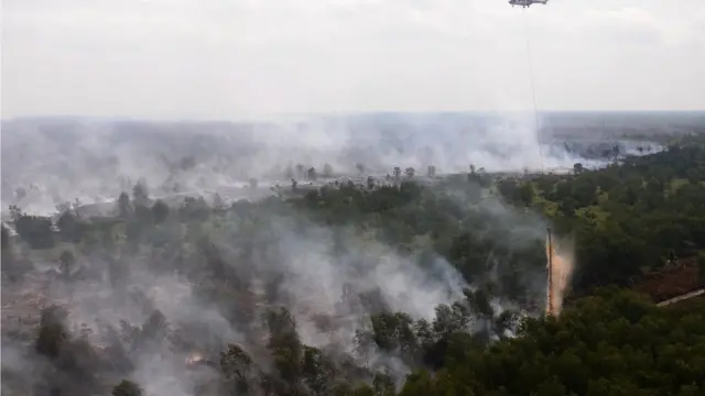 Kebakaran hutan Kalimantan Tengah : 'Warga batuk-batuk, sesak napas, hingga harus turun tangan ...