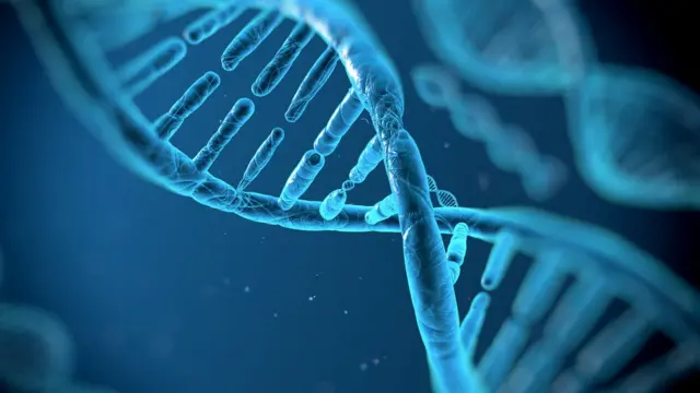 Por qué el genoma humano realmente nunca se ha descifrado por completo (y qué se está haciendo ...