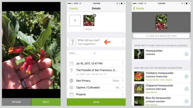 iNaturalist: la app para los amantes de la naturaleza que te permite ...