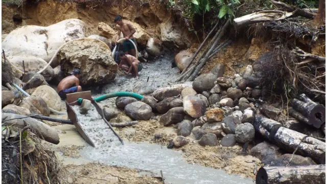 Tambang emas ilegal di pedalaman Papua: Mendulang dari derita Suku Korowai - BBC News Indonesia