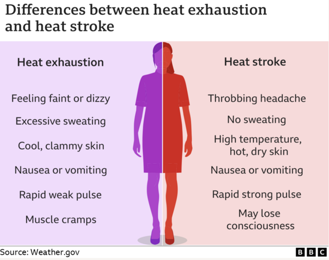 Bagaimana dampak cuaca panas terhadap tubuh manusia? - BBC News Indonesia