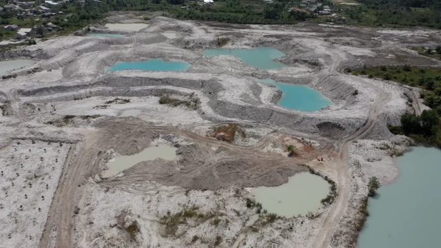 Konflik buaya dan manusia di Indonesia terparah di dunia, ratusan orang kehilangan nyawa ...