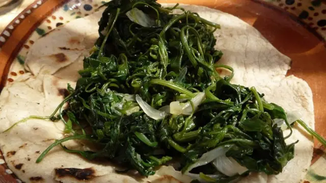 Quelites: los grandes beneficios alimenticios de estas plantas ...