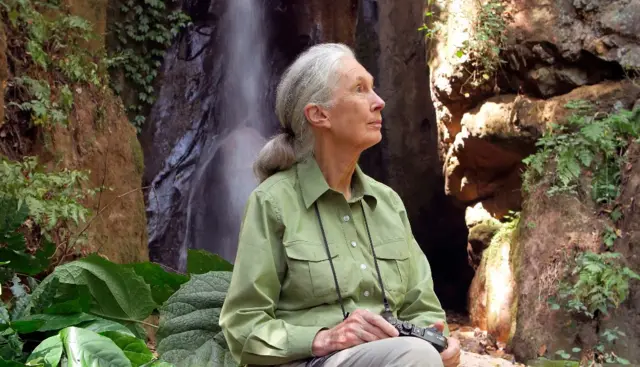 Medio ambiente: por qué Jane Goodall cree que aún hay esperanza ante el ...