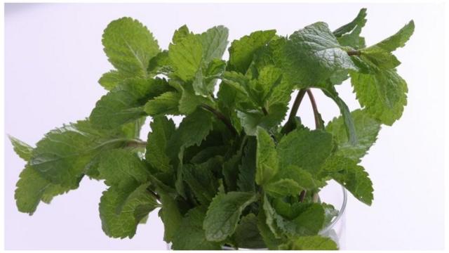 Afya yako: Jitibu mwenyewe kwa tiba hizi za nyumbani ,ila usizidishe ...