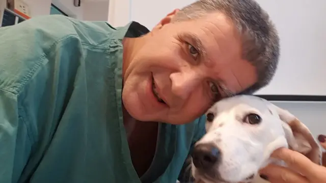 Svetski dan veterinara: Ljubav koja je postala posao - BBC News na srpskom